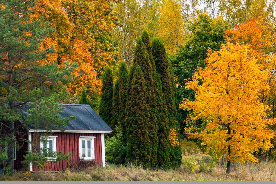 Syksy on täällä taas – MindyJBlog